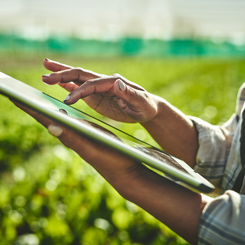 United States | Abt Global