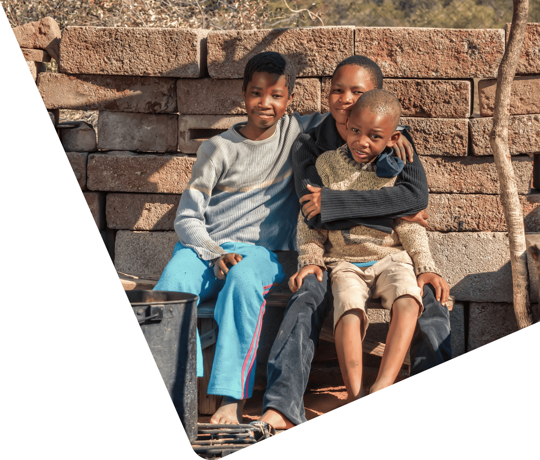 Botswana | Abt Global