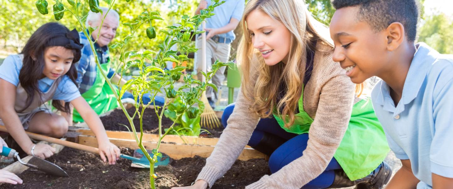 Farm to School: A Comprehensive Review from 2010-2020 | Abt Global